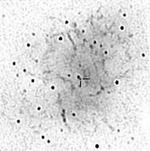 SCP-1548 | Wiki La Fundación SCP | Fandom
