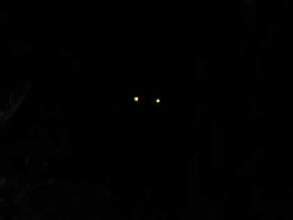 SCP-9916 (the control) | Wiki La Fundación SCP | Fandom