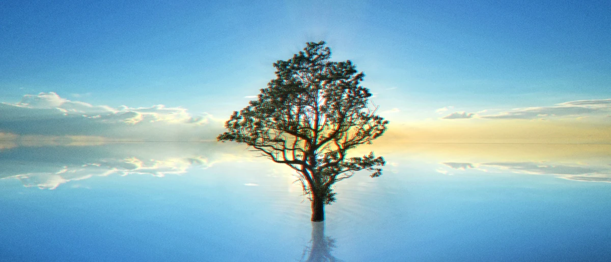 SCP-6000- | Wiki La Fundación SCP | Fandom