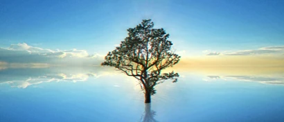 SCP-6000- | Wiki La Fundación SCP | Fandom