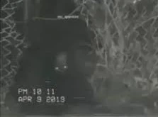 SCP-009-L | Wiki La Fundación SCP | Fandom