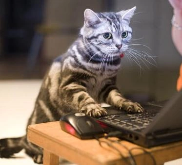 SCP-222-TH-J | Wiki La Fundación SCP | Fandom