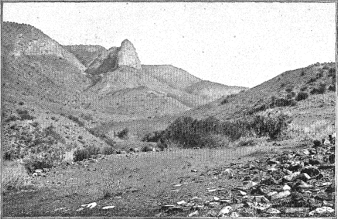 SCP-992 | Wiki La Fundación SCP | Fandom