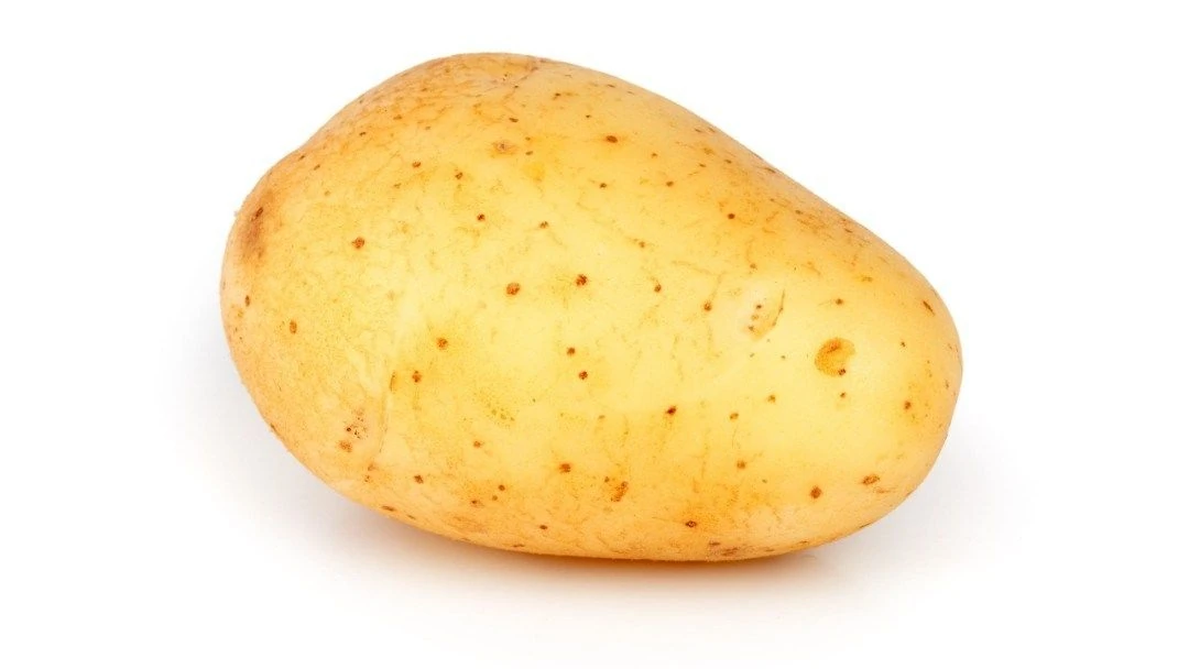 SCP-8484 | Wiki La Fundación SCP | Fandom