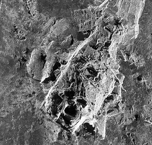 SCP-2846 | Wiki La Fundación SCP | Fandom