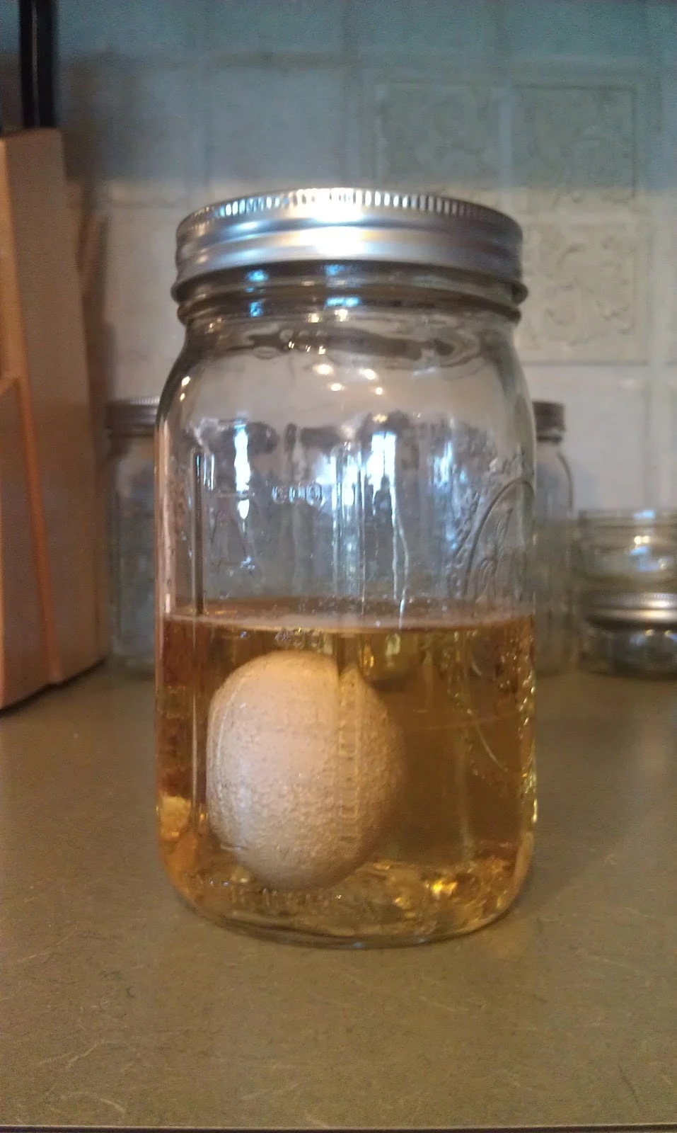 SCP-2029 | Wiki La Fundación SCP | Fandom