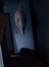 SCP-5739 | Wiki La Fundación SCP | Fandom