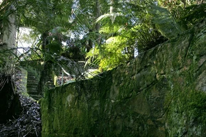 SCP-2932 | Wiki La Fundación SCP | Fandom