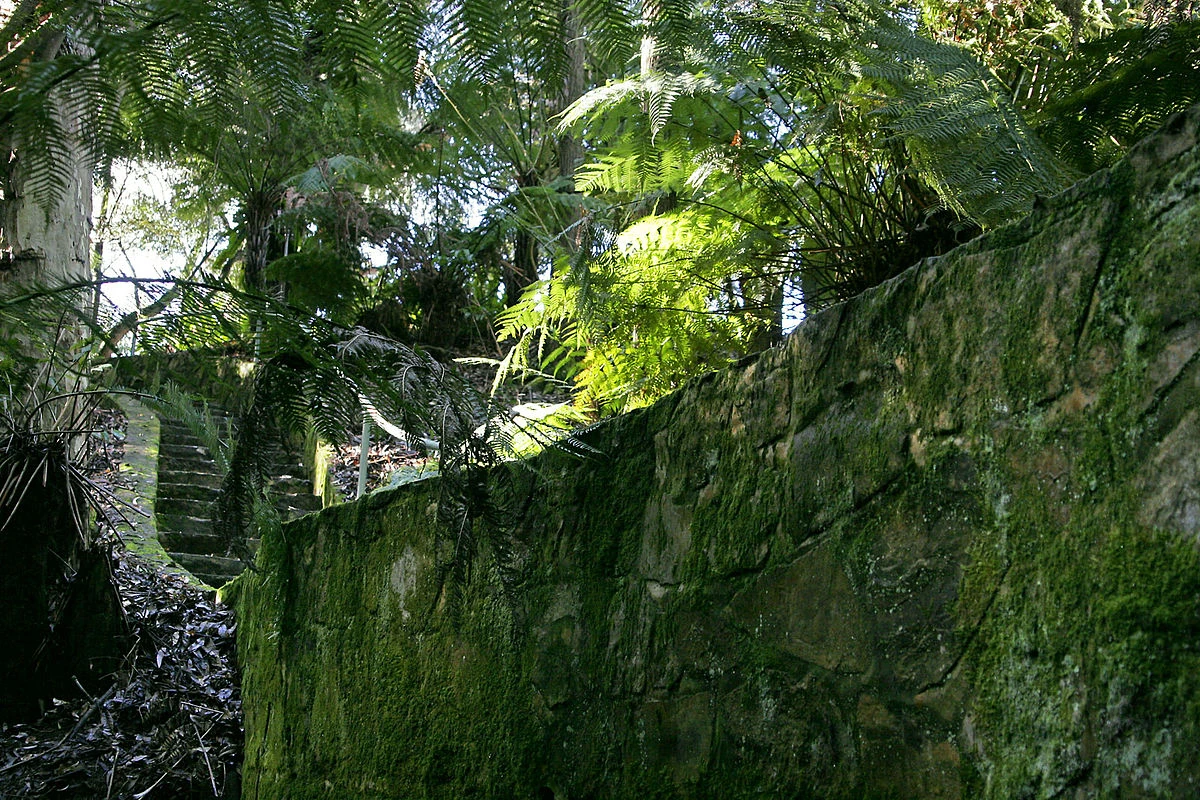 SCP-2932 | Wiki La Fundación SCP | Fandom