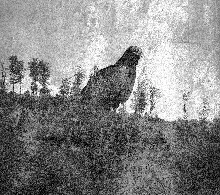 SCP-1160 | Wiki La Fundación SCP | Fandom