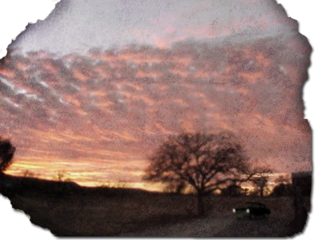 SCP-265 | Wiki La Fundación SCP | Fandom