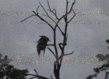 SCP-746 | Wiki La Fundación SCP | Fandom