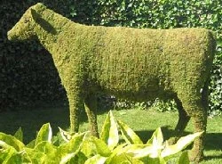 SCP-843 | Wiki La Fundación SCP | Fandom