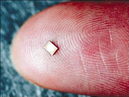 SCP-877 | Wiki La Fundación SCP | Fandom