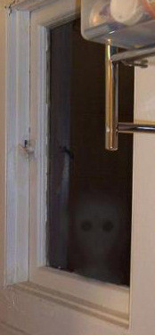 SCP-965 | Wiki La Fundación SCP | Fandom