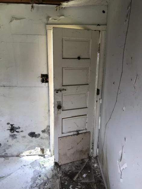 SCP-703 | Wiki La Fundación SCP | Fandom