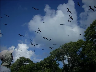 SCP-930 | Wiki La Fundación SCP | Fandom