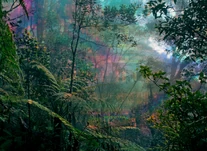 SCP 6000 | Wiki La Fundación SCP | Fandom