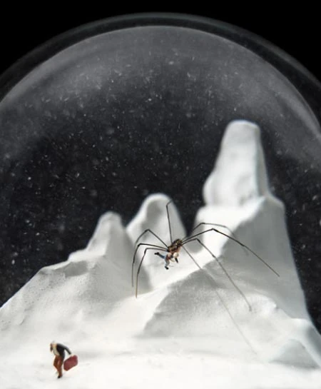 SCP-251 | Wiki La Fundación SCP | Fandom