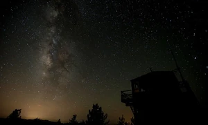 SCP-2838 | Wiki La Fundación SCP | Fandom