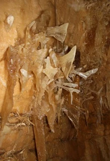 SCP-553 | Wiki La Fundación SCP | Fandom