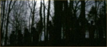 SCP-899 | Wiki La Fundación SCP | Fandom