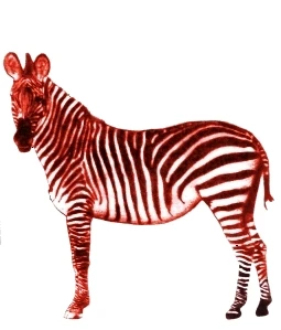 SCP-019-L | Wiki La Fundación SCP | Fandom