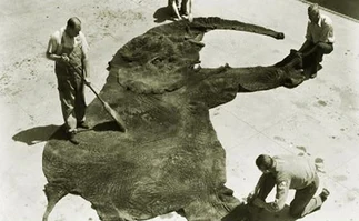 SCP-400-TH | Wiki La Fundación SCP | Fandom