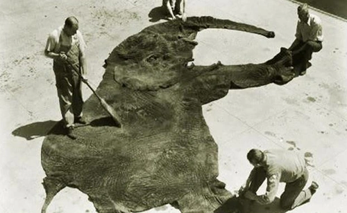 SCP-400-TH | Wiki La Fundación SCP | Fandom