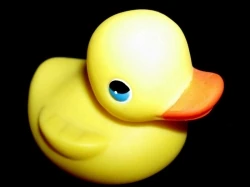 SCP-1356 | Wiki La Fundación SCP | Fandom