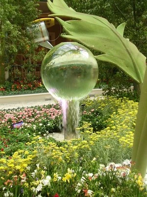 SCP-791 | Wiki La Fundación SCP | Fandom