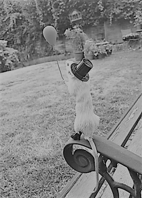 SCP-3927 | Wiki La Fundación SCP | Fandom