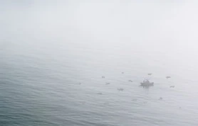 SCP-2316 | Wiki La Fundación SCP | Fandom