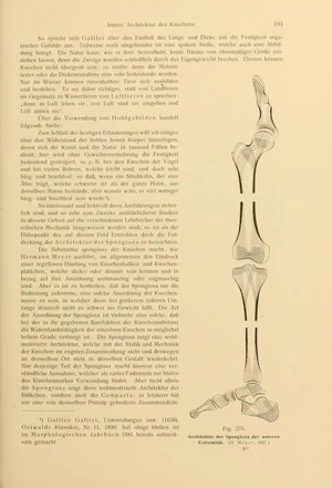 SCP-3484 | Wiki La Fundación SCP | Fandom