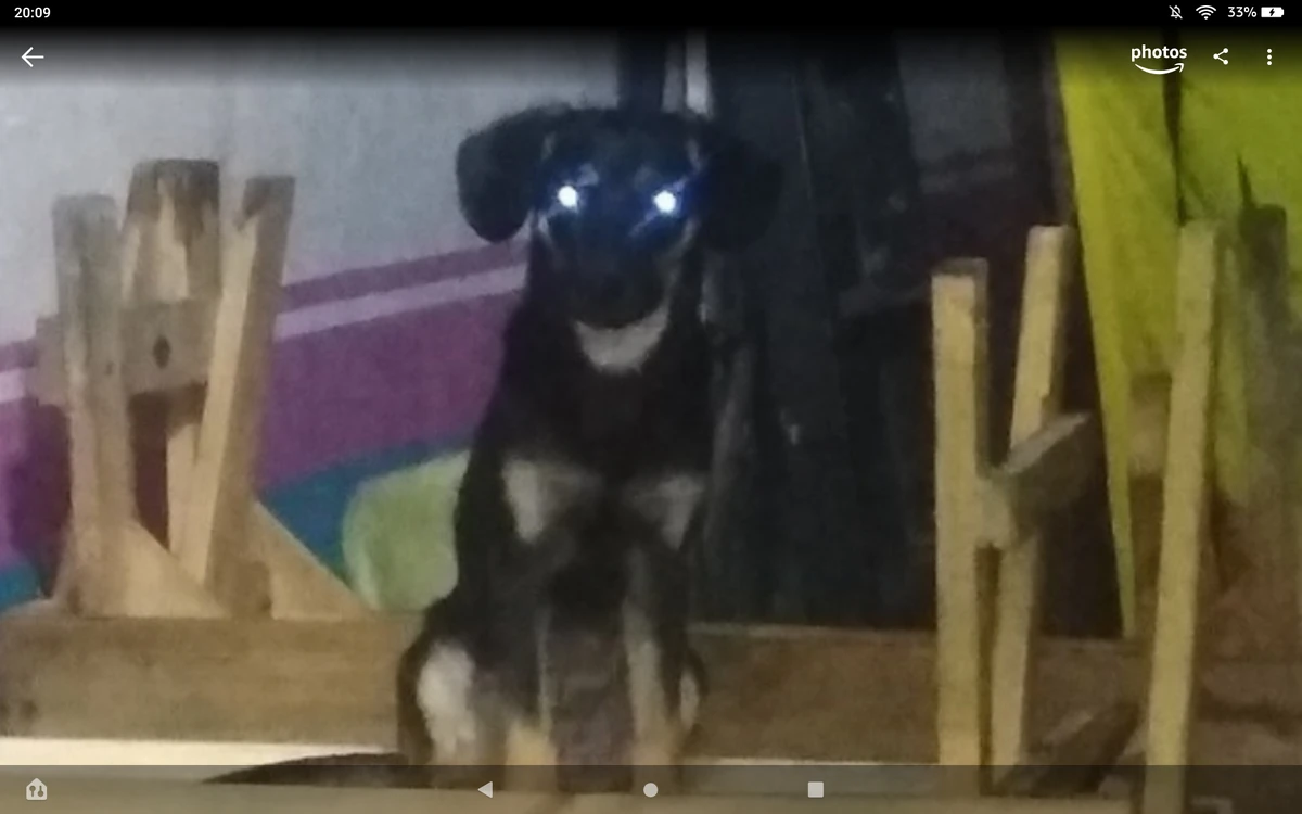 Scp 7111 | Wiki La Fundación SCP | Fandom