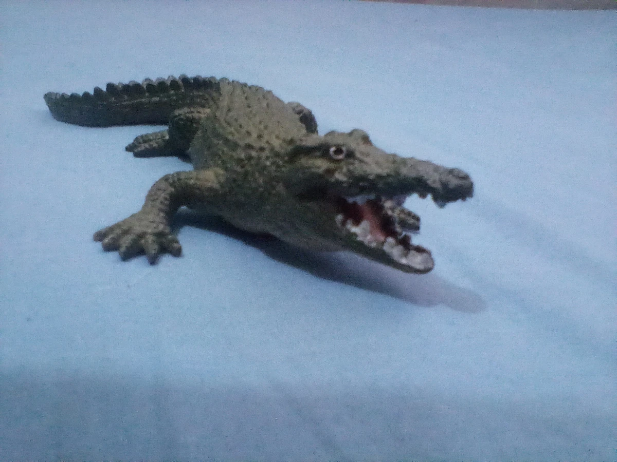 Scp 9359 | Wiki La Fundación SCP | Fandom