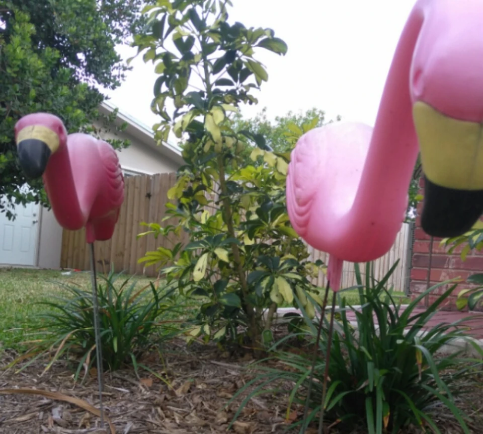 SCP-1507 | Wiki La Fundación SCP | Fandom