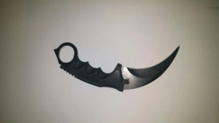 SCP-095-L | Wiki La Fundación SCP | Fandom