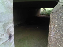 SCP-554 | Wiki La Fundación SCP | Fandom