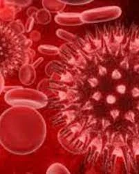 SCP-016 | Wiki La Fundación SCP | Fandom