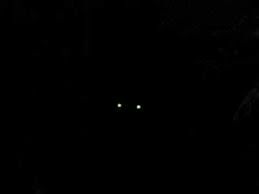 SCP-080 | SCP Foundation Wikia | Fandom