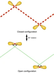 SCP-531 | Wiki La Fundación SCP | Fandom