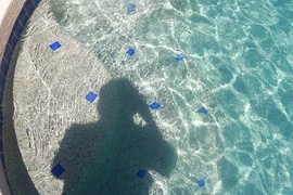 SCP-242 | Wiki La Fundación SCP | Fandom