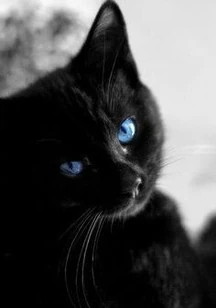 SCP-362 | Wiki La Fundación SCP | Fandom