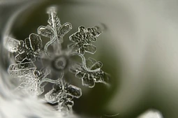 SCP-ES-017 | Wiki La Fundación SCP | Fandom