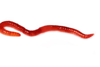 SCP-839 | SCP Foundation Wikia | Fandom