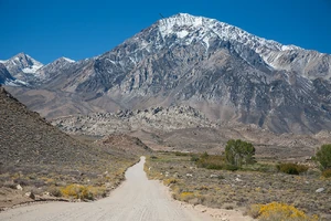 SCP-1555 | Wiki La Fundación SCP | Fandom