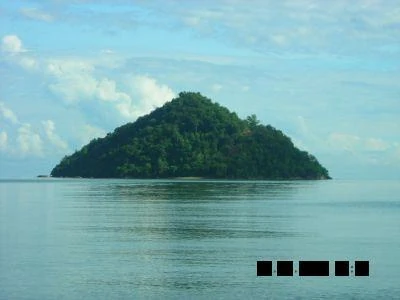 SCP-930 | Wiki La Fundación SCP | Fandom