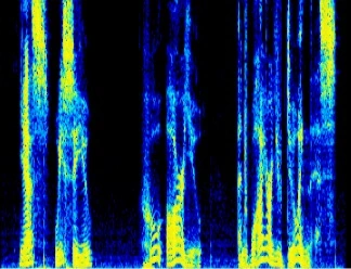 SCP-6661 | Wiki La Fundación SCP | Fandom
