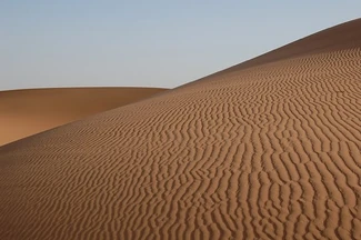 SCP-777 | Wiki La Fundación SCP | Fandom